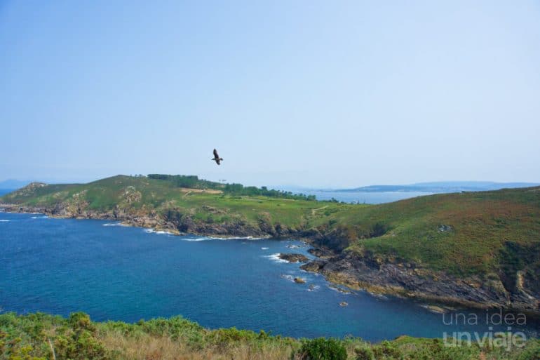 VISITAR LA ISLA DE ONS ️ Guía práctica por una gallega