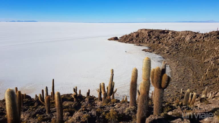 VISITAR EL SALAR DE UYUNI: información y tours