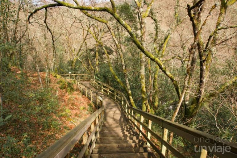 Qué ver en Ribeira Sacra: ruta en coche por una gallega